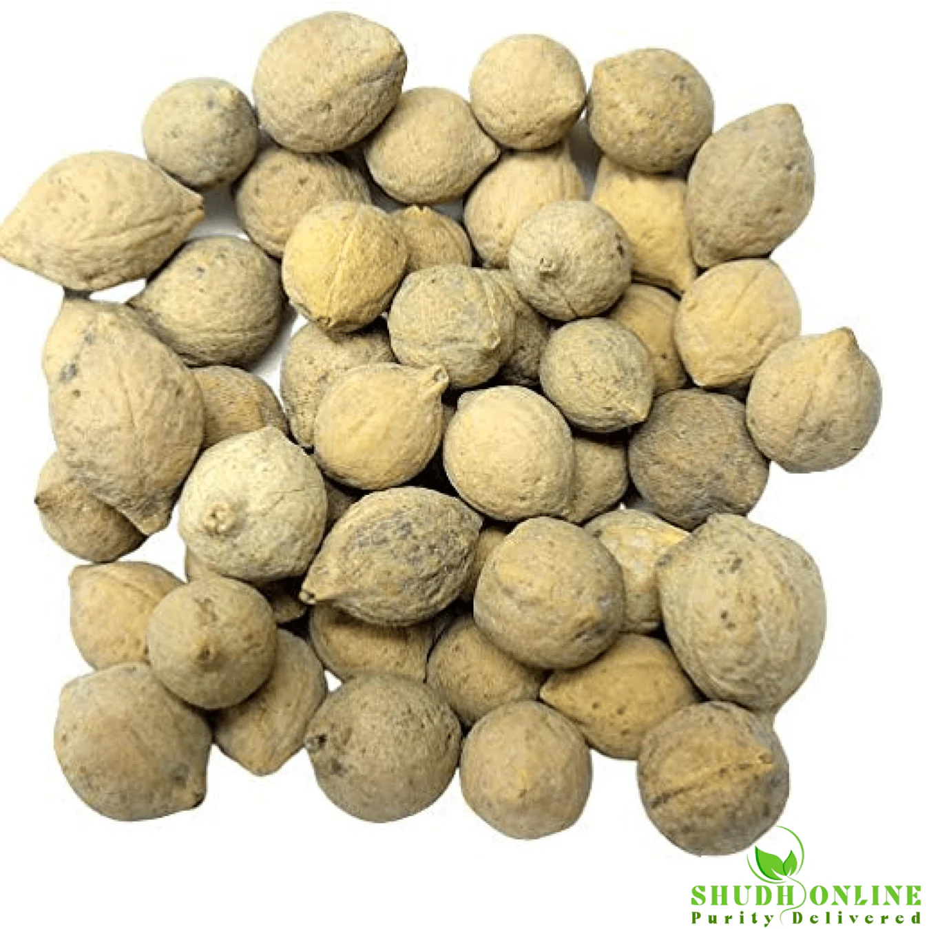 Shudh Online Putrajeevak Beej Powder 100gm - Ayurvedaproducts